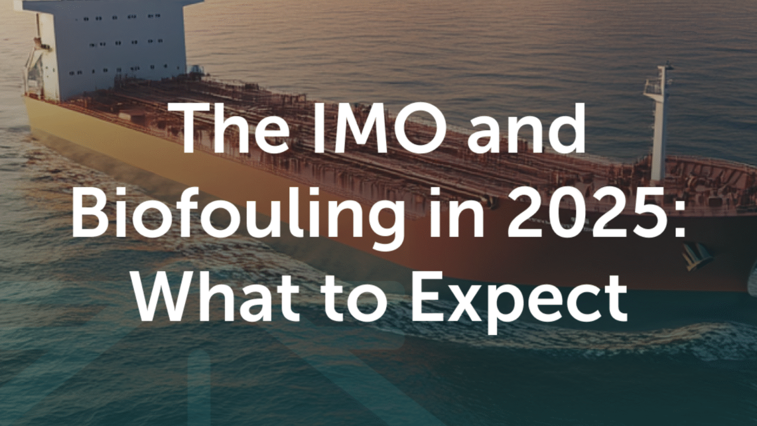 10 Powerful IMO Biofouling Guidelines for Shipowners